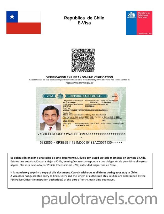 Chile e-visa template in Word and PDF formats