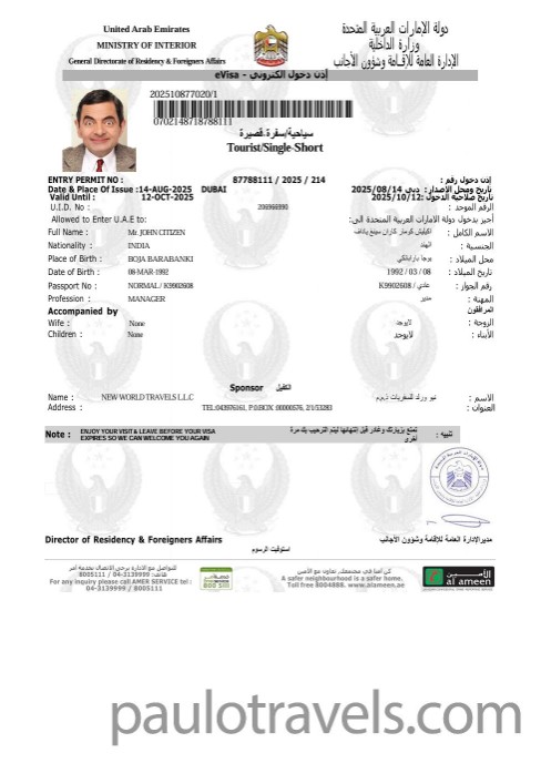 UAE e-visa template in Word and PDF formats, version 9